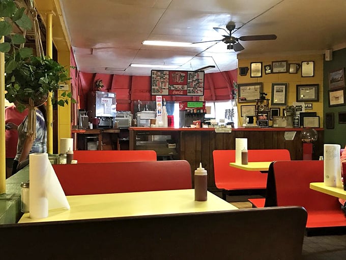 Inside this citrus-shaped time capsule, red vinyl booths and wall certificates tell stories of decades serving hungry Arkansans. The ceiling fans spin tales as old as the griddle.