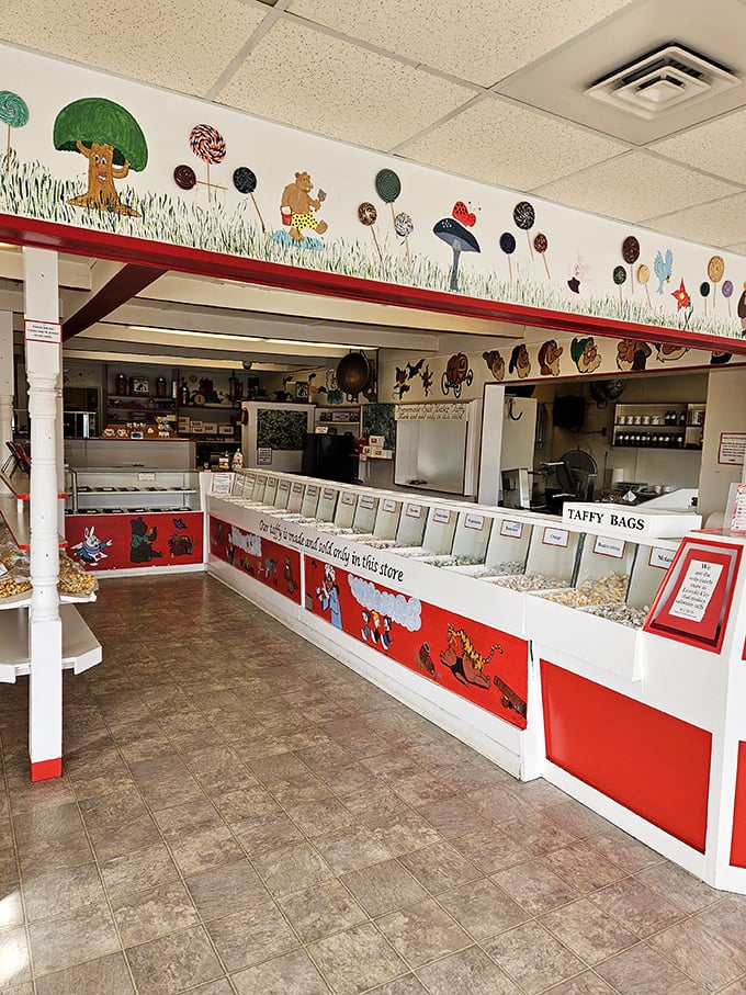 Step inside and suddenly you're seven years old again, surrounded by whimsical artwork and bins of taffy that would make Willy Wonka consider a career change.