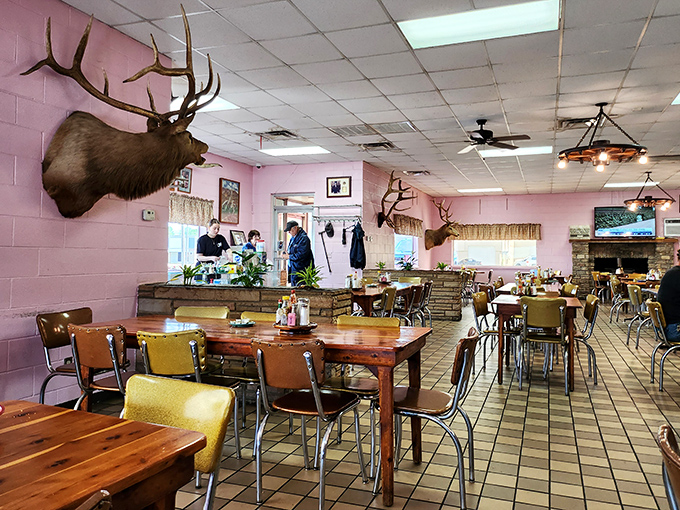 Where mounted elk heads keep watch over generations of diners who know that the best conversations happen over gravy-laden plates.
