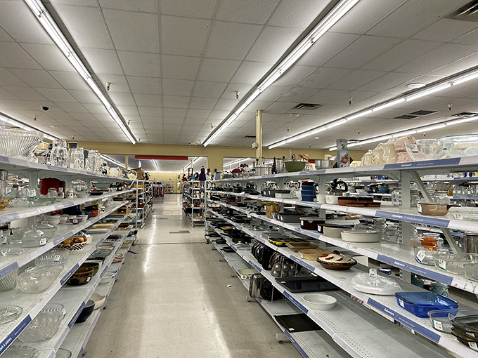 Aisle after aisle of kitchenware treasures await, where your grandmother's beloved Pyrex might be hiding among forgotten culinary time capsules.