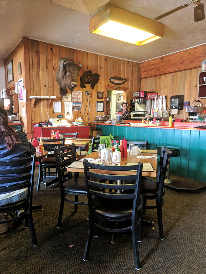 Wood-paneled walls, a mounted buffalo head, and that turquoise counter create the perfect trifecta of classic American diner authenticity.