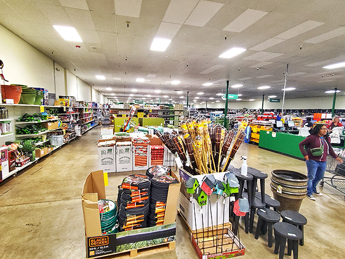 Treasure hunt in progress! Wide aisles and concrete floors might not scream luxury, but the deals absolutely whisper "treat yourself."