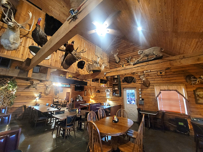 A veritable taxidermy convention watches over diners from the timber rafters, creating the authentic hunting lodge atmosphere that says "vegetarians beware!"