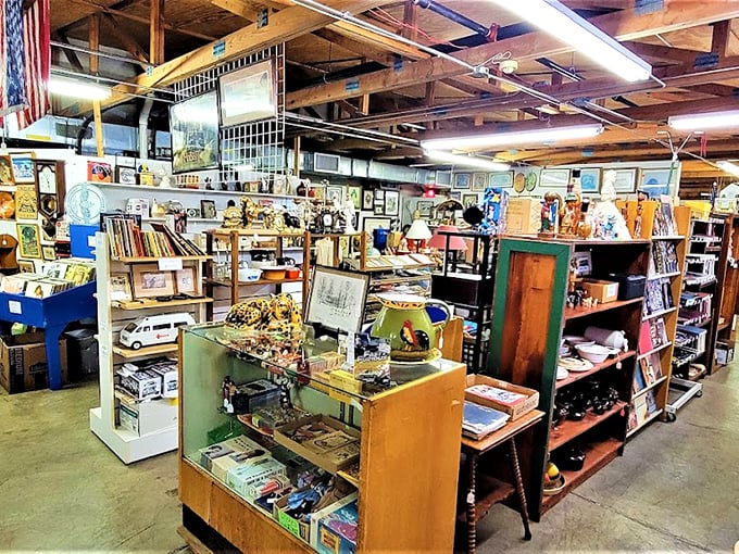 Aisles that seem to stretch into infinity, each shelf a miniature museum of American life. Pace yourself&mdash;this is a marathon, not a sprint.