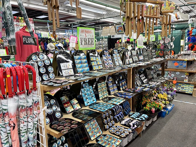 Souvenir heaven awaits! Florida-themed treasures line the shelves in a dazzling array that makes deciding what not to buy the real challenge.