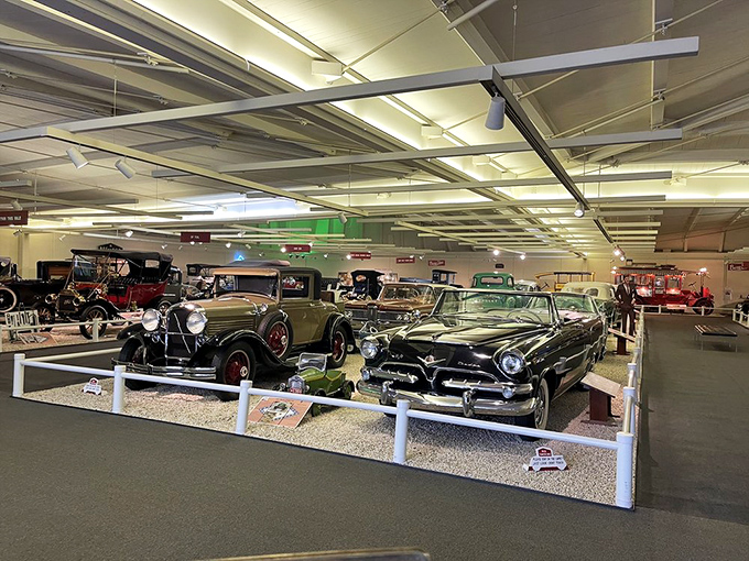 Chrome gleams under perfect lighting as vintage beauties rest in their carefully curated spaces&mdash;automotive history preserved in three dimensions.
