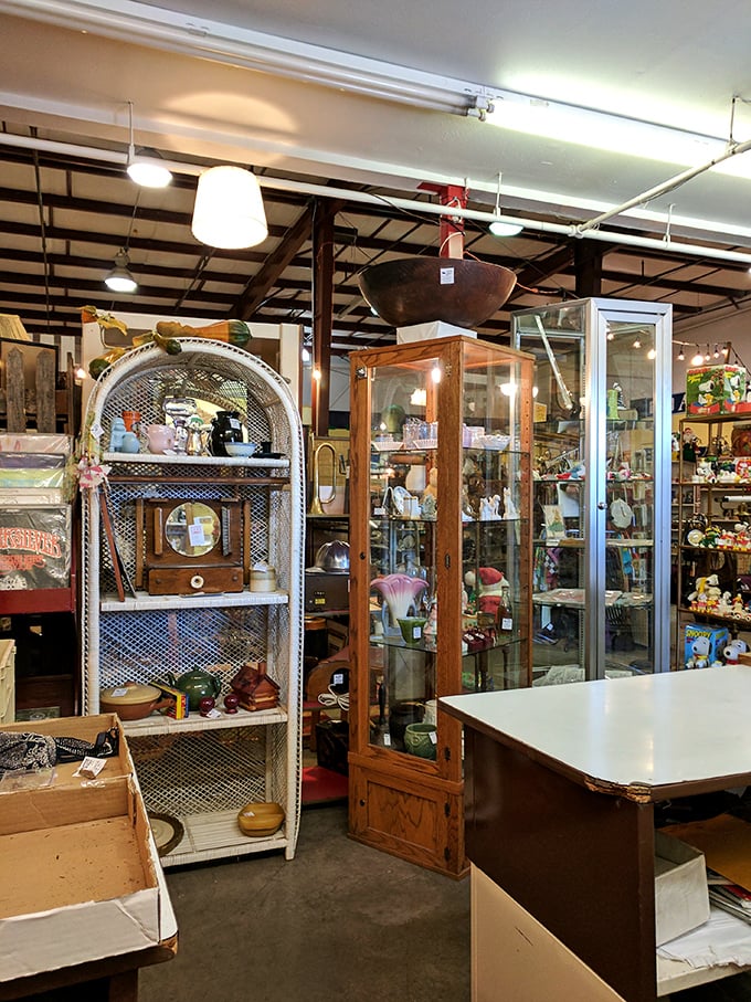 Shelves upon shelves of memories waiting to be rediscovered. That Southern Comfort bottle isn't just decoration—it's someone's college story waiting to be retold.