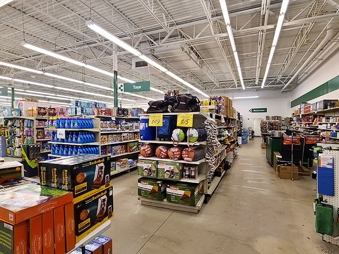 Aisles stretch toward retail infinity, a wonderland of organized chaos where every turn might reveal your next great find.
