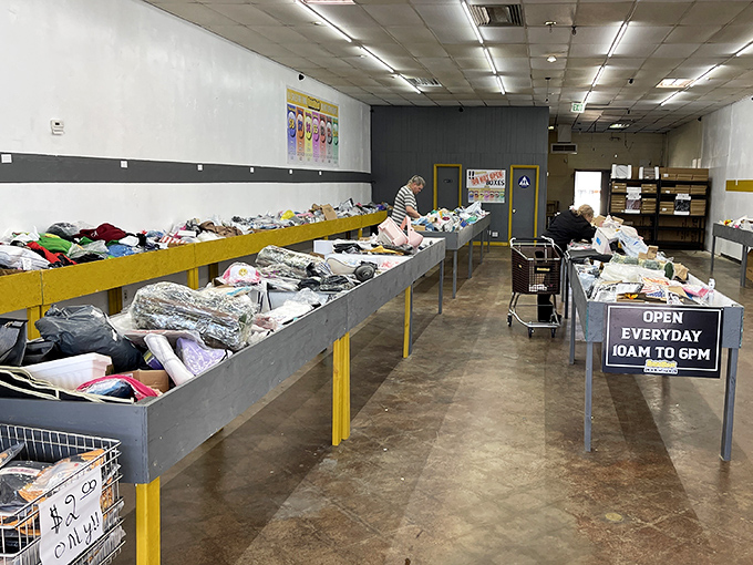 Bargain archaeology in action. Shoppers carefully excavate through bins of possibilities, each aisle a new expedition into the land of "I can't believe this price!"