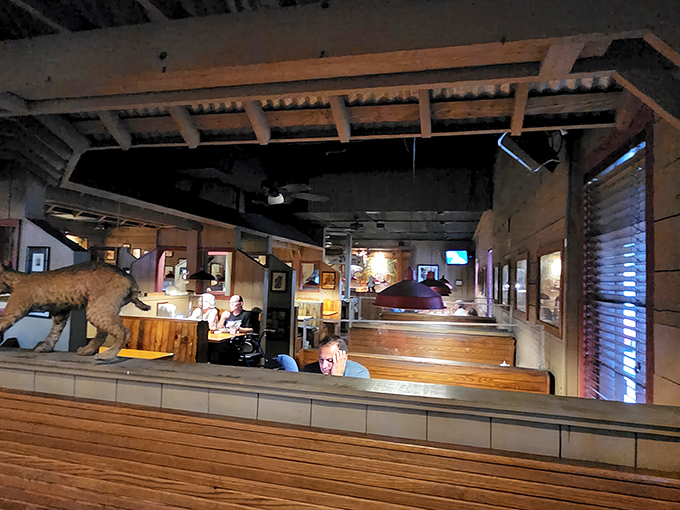 Inside, rustic charm meets Florida wilderness&mdash;complete with taxidermy that seems to be eyeing your appetizer from across the dining room.