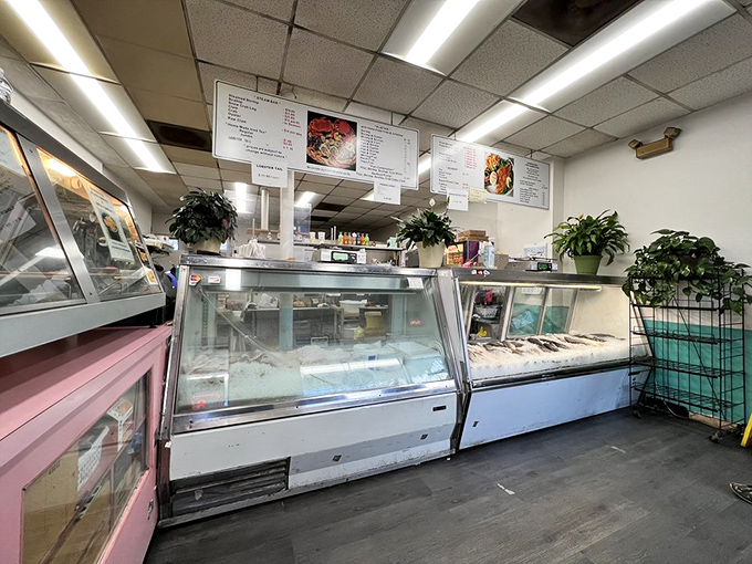 Behind these glass cases lies seafood nirvana. The display counters showcase today's catch, while potted plants add homey touches to this no-nonsense operation.