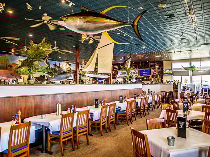 Suspended from the blue ceiling, a magnificent yellowfin tuna presides over diners like Neptune himself. The maritime museum-meets-restaurant vibe sets the perfect seafood stage.