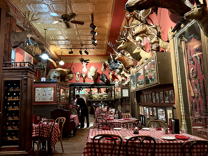 Step inside and you're greeted by a taxidermy convention &ndash; hundreds of preserved wildlife watch over your meal with glass eyes that have seen a century of diners come and go.