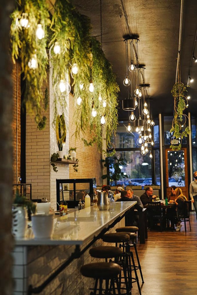 The interior feels like someone merged a secret garden with industrial chic. Those hanging plants and Edison bulbs create the perfect mood lighting for a cheese-induced euphoria.