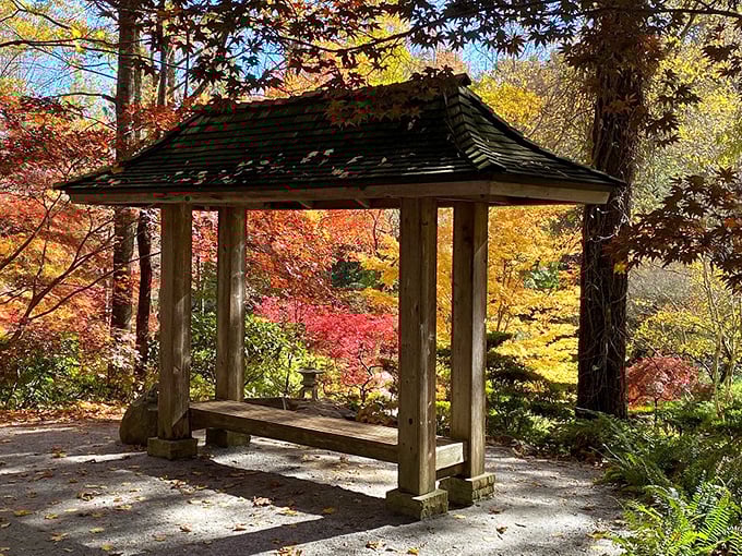 Contemplation station: This wooden pavilion offers the perfect front-row seat to nature's most dazzling fall color show.
