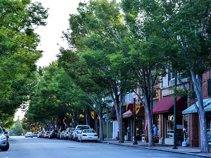 Stroll beneath these leafy sentinels and you'll understand why people move to small towns—shade, charm, and nobody honking if you walk too slowly.