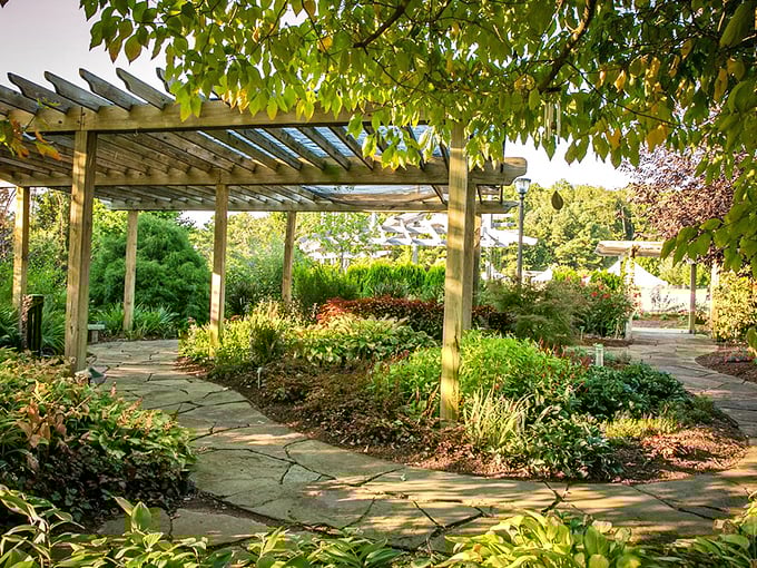 Dappled sunlight plays hide-and-seek through this pergola, creating nature's stained glass on the stone pathway below.