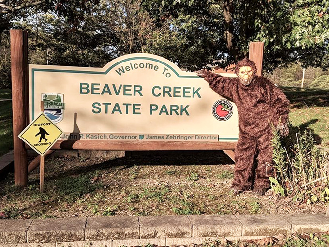 Even Bigfoot can't resist the allure of Beaver Creek State Park. When Sasquatch becomes your unofficial mascot, you know you've got something special in those woods.