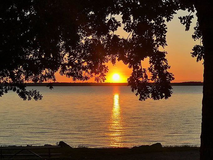Nature's own light show doesn't require tickets or parking. This Milford sunset transforms Kansas into coastal California for one magical moment.