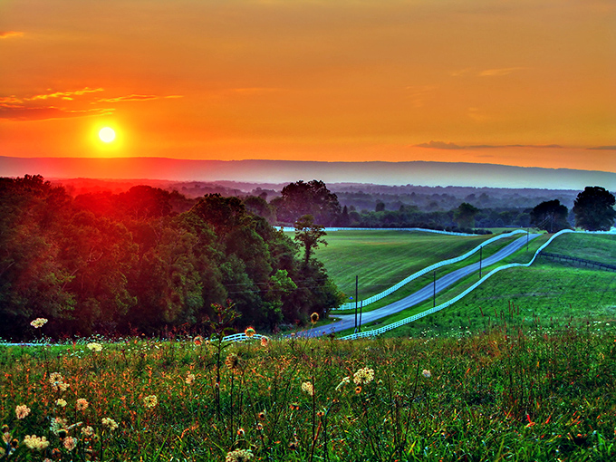 Nature's own spectacular light show paints the Virginia sky, transforming ordinary fields into golden kingdoms worthy of a fantasy novel.