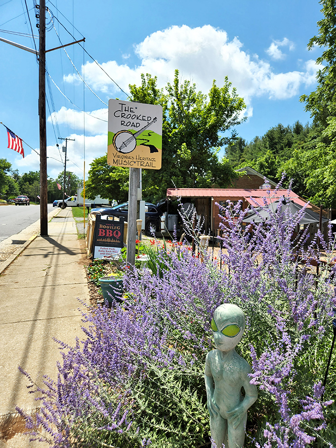 The Crooked Road sign marks Floyd's place on Virginia's Heritage Music Trail, complete with an alien visitor enjoying the lavender. Music transcends galaxies!