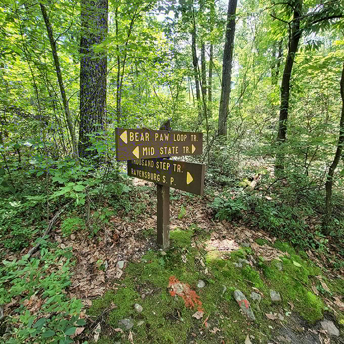 Trail markers that promise adventure in every direction. The Bear Paw Loop beckons with a name that's both charming and slightly nerve-wracking.