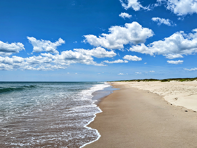 Miles of pristine shoreline where the Atlantic whispers secrets to the sand. No wonder Dr. Beach keeps ranking Ocracoke among America's finest.