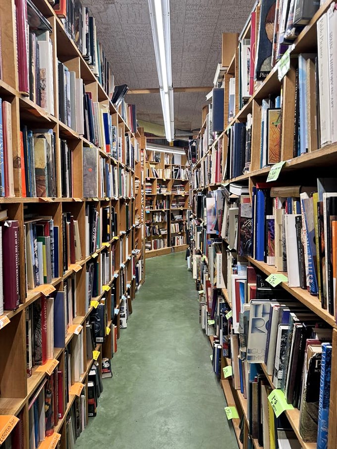 Literary canyons stretch to the horizon. In these hallowed aisles, browsers become explorers and time becomes wonderfully irrelevant.