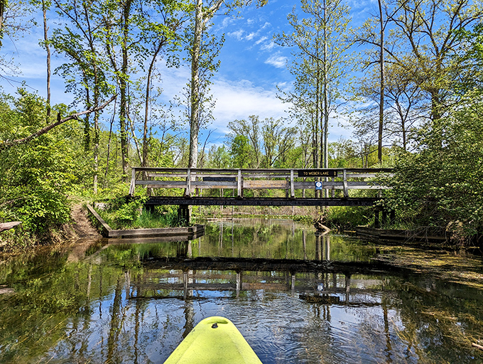 Bridging the gap between wilderness and accessibility, these wooden crossings invite you to explore what lies beyond the next bend.