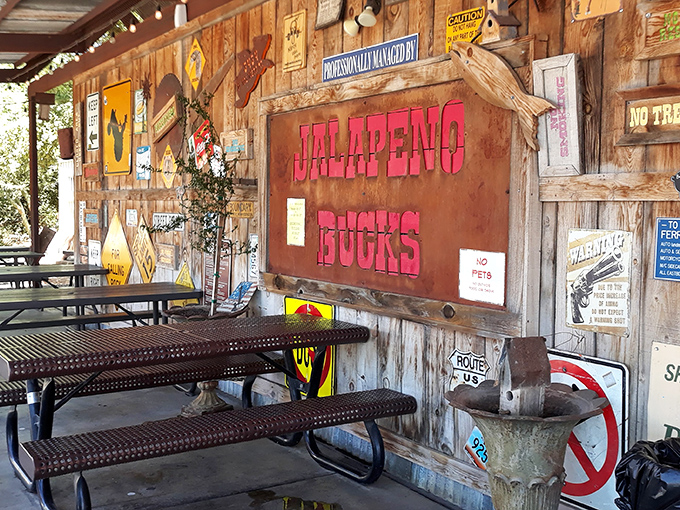 Where décor doubles as conversation starter—this wall of southwestern memorabilia tells stories while you wait for your green chili masterpiece.