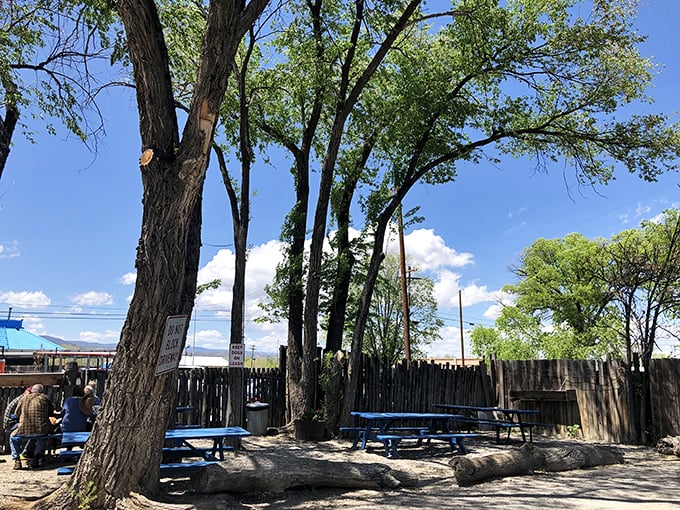 Nature provides the dining room ceiling here &ndash; cottonwood trees create dappled shade perfect for savoring that green chile burrito on a spring afternoon.