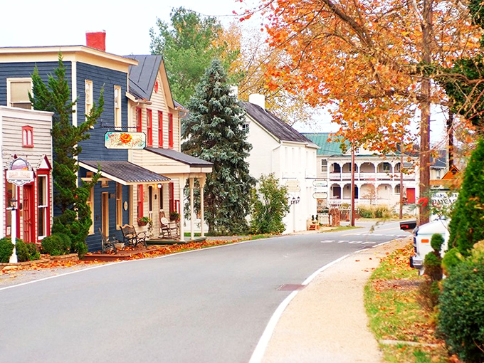 Picture-perfect, right? This downtown scene is the kind of place where you sip coffee on a porch and forget what day it is. A Hallmark movie waiting to happen.