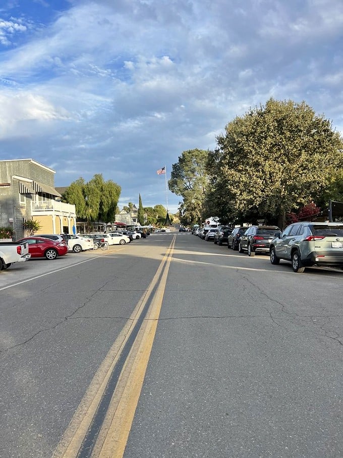 Main Street on a perfect California afternoon&mdash;where parking spots are treasured more than vintage wine and the pace moves slower than a deliberate sip of Syrah.