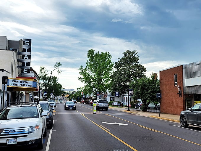 The State Theatre marquee stands as Culpeper's cultural beacon. Like finding an old vinyl record in perfect condition, these preserved landmarks keep small-town charm alive.