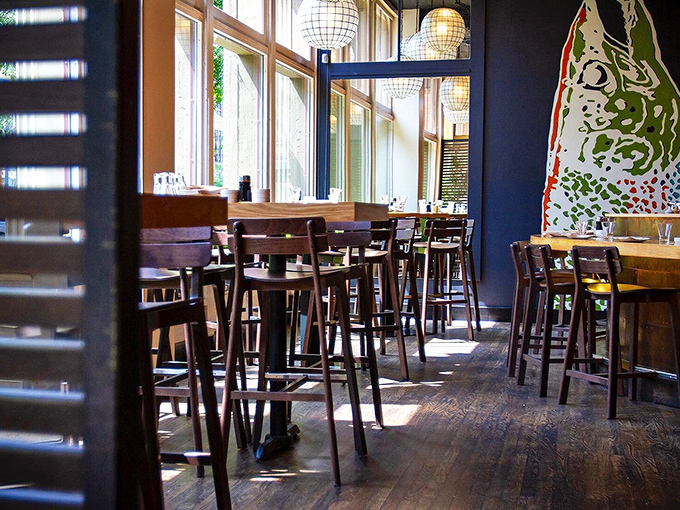 Sunlight streams through tall windows, casting dramatic shadows across wooden tables where countless fried chicken epiphanies have occurred.