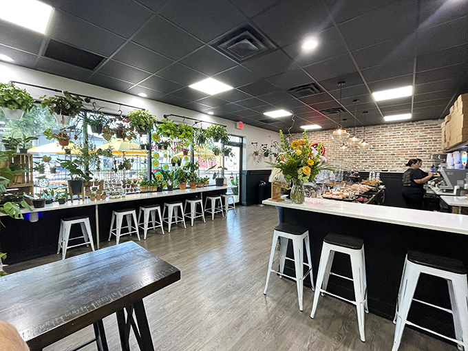 A plant-lover's paradise meets doughnut heaven in this airy, brick-walled sanctuary where calories are temporarily forgotten and coffee flows freely.