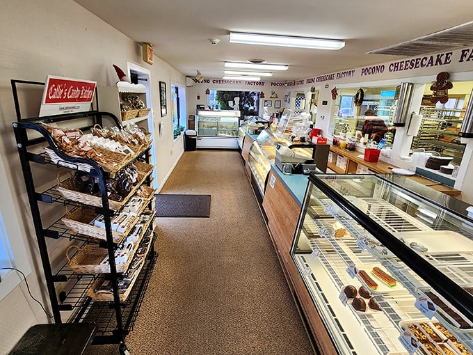 Step inside and enter a wonderland of sweet possibilities. The narrow corridor leads to decisions that will haunt your dreams&mdash;in the best way possible. 