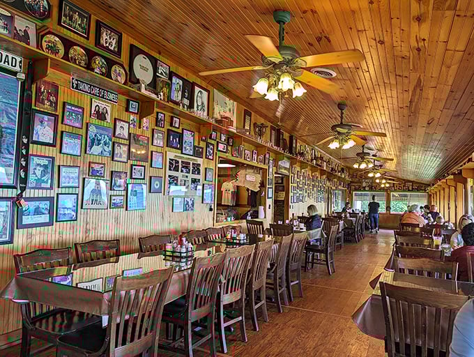 Step inside to discover walls lined with decades of memories. The knotty pine interior feels like a living museum of Ozark culture.