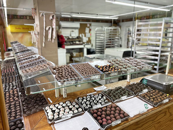 Chocolate paradise awaits as trays of handcrafted confections stretch toward the horizon like a dessert mirage that actually delivers.