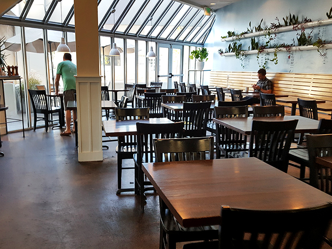 Sunlight floods through greenhouse-style windows, creating the kind of natural illumination that makes everyone look like they're starring in their own food documentary.