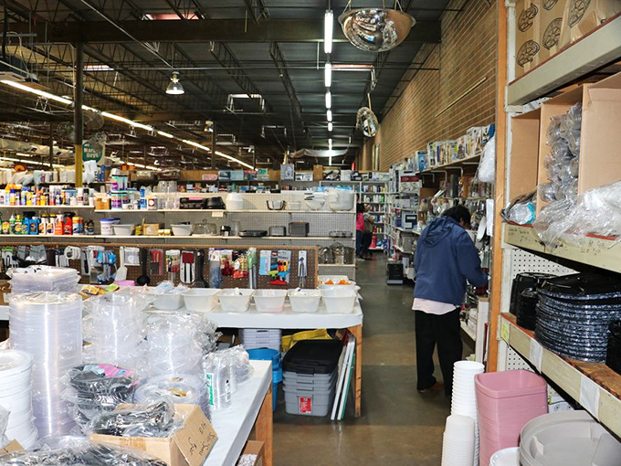 Aisles of possibility stretch before you, where household essentials meet unexpected treasures in this fluorescent-lit wonderland.