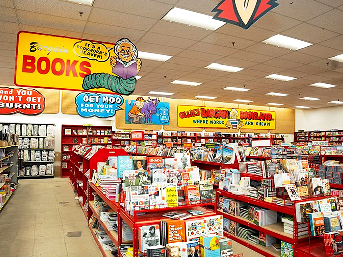 Literary treasures await in Ollie's book section, where bestsellers find their second chance at prices that make bibliophiles do a double-take.