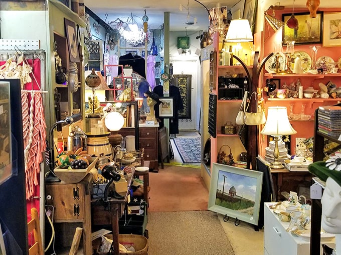 Narrow pathways wind through carefully curated chaos. Every inch tells a story, every corner promises discovery in this labyrinth of memories.