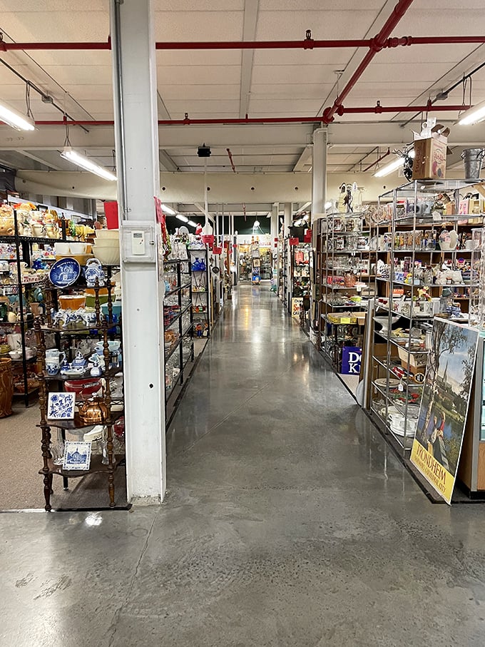 Long aisles stretch into infinity, each one a portal to different decades. The thrill of the hunt begins the moment you step inside.