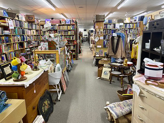 Narrow pathways between towering bookshelves create literary canyons to explore. Every aisle promises discoveries that might change your living room—or your life.