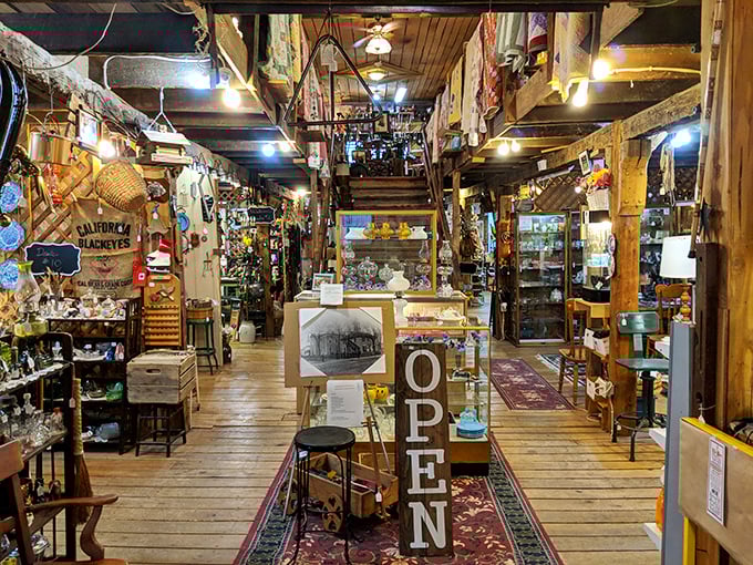 Step inside and time slows down. Wooden beams frame a treasure hunter's paradise where every aisle promises discovery and every corner holds surprise.