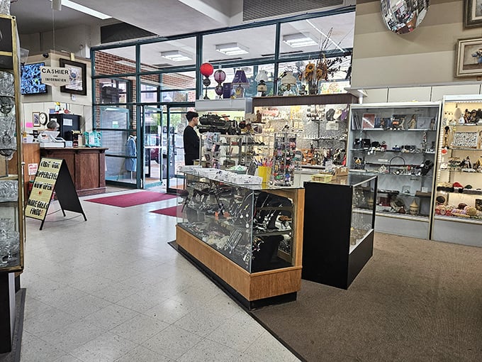 First impressions matter! Glass display cases greet visitors with carefully curated collectibles, a hint of the adventures waiting down each aisle.