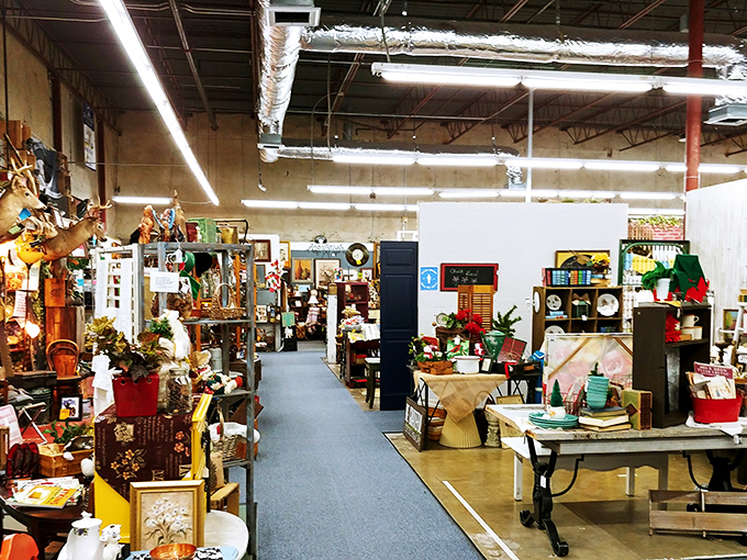 Aisles that stretch into infinity, each turn revealing another decade's worth of memories. It's like time travel without the pesky paradoxes.