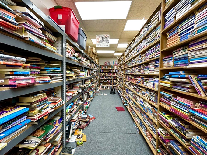 Not so much an aisle as a canyon carved through literary sediment. Archaeologists of fiction could spend weeks excavating these shelves.