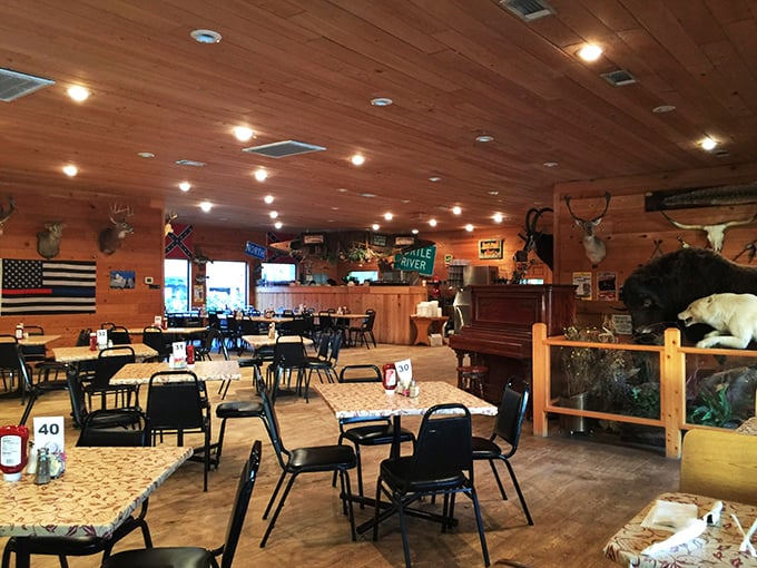 Taxidermy meets taste buds in this warm wood-paneled dining room. The hunting lodge aesthetic promises a meal where comfort trumps pretension.